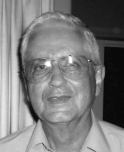 Las 5 piedritas de David, y la Teología Bíblica, por Graeme Goldsworthy ...